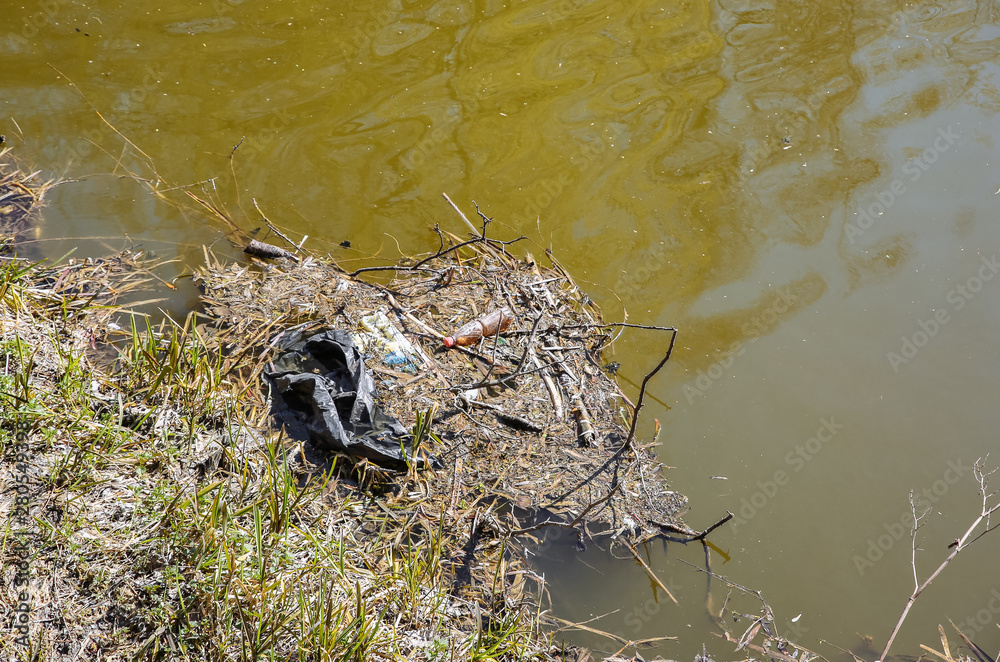 Litter plastic in the nature. Pollution of the environment. Ecological ...