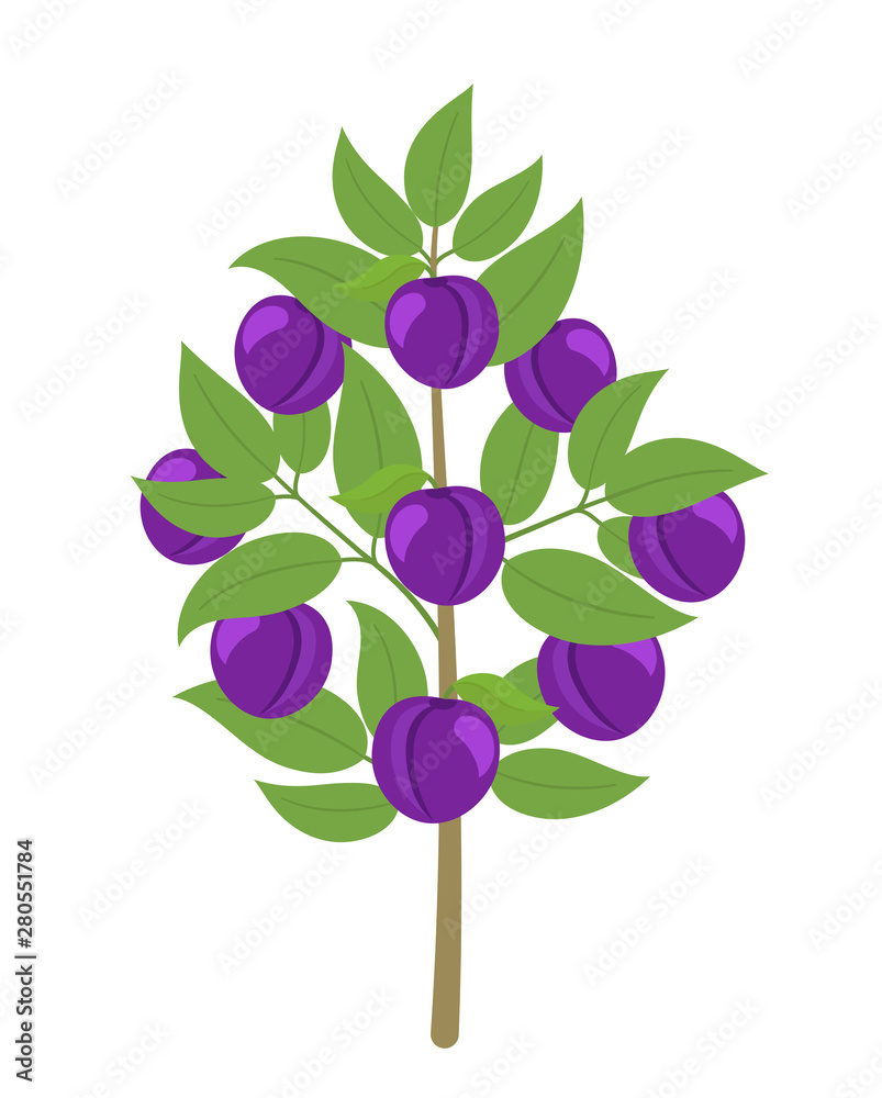 Plum Tree Clipart