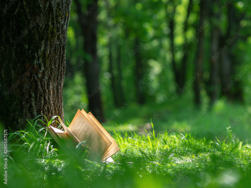 An open book lying in the Park near the tree. Layout with copyspace ...