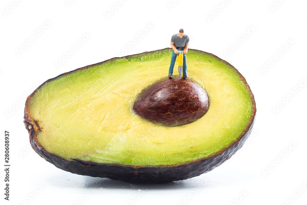People Working with Food, Miniature people harvesting an Avocado ...