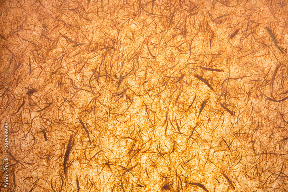 Organic Paper Texture