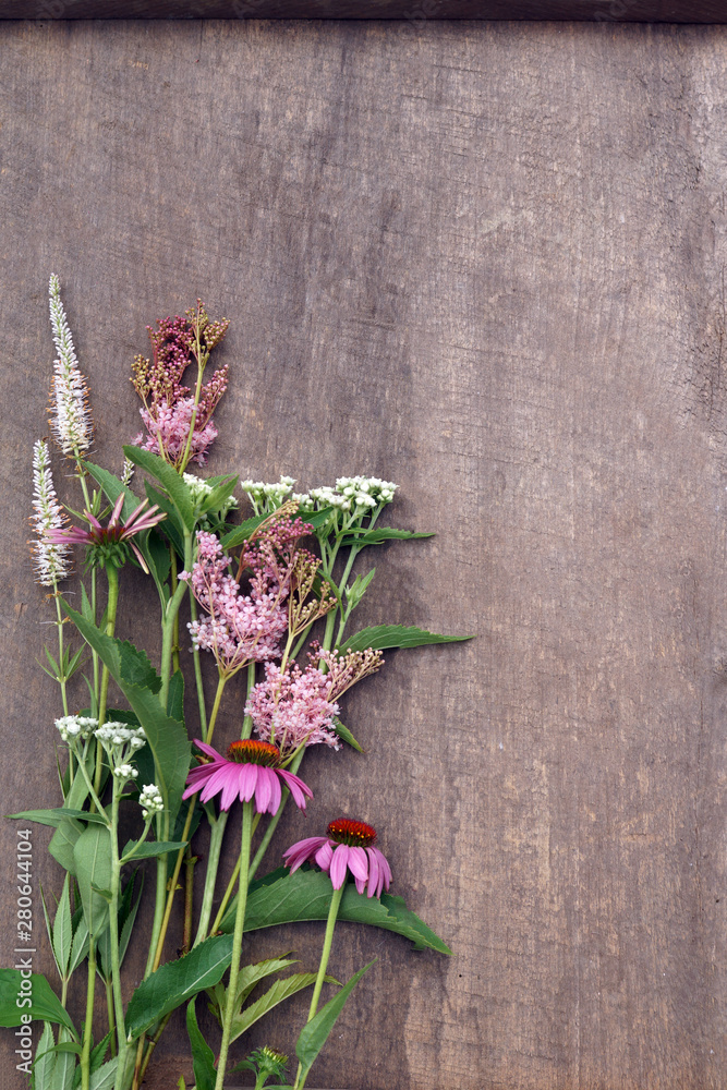 Vertical image of a bunch of fresh cut perennial flowers in shades of ...