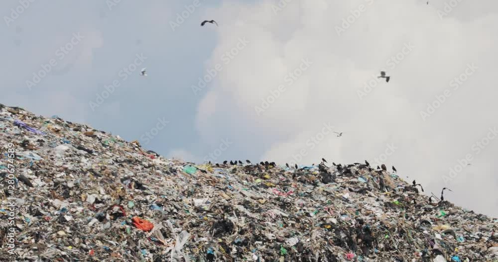 Trash, litter, rubbish in dump on sky background. Flock of crows eat ...