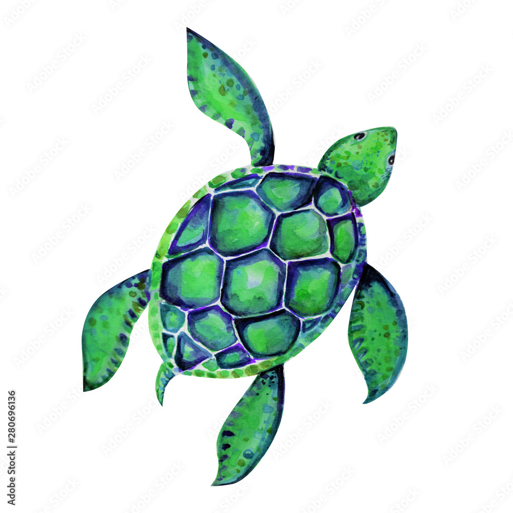 Beautiful turtle art water color background illustration Stock ...