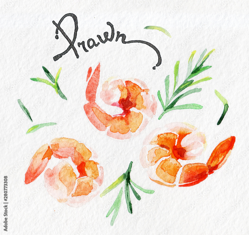 Shrimp, prawn. Seafood, rosemary, greens, parsley. Watercolor hand ...