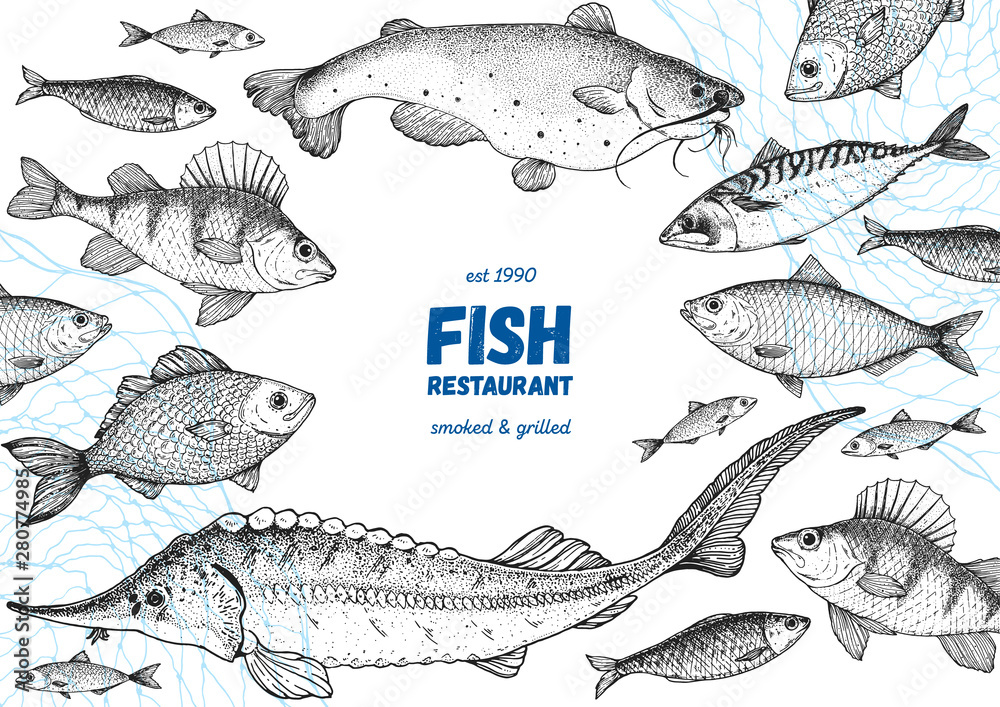 Fish sketch collection. Hand drawn vector illustration. Seafood frame ...
