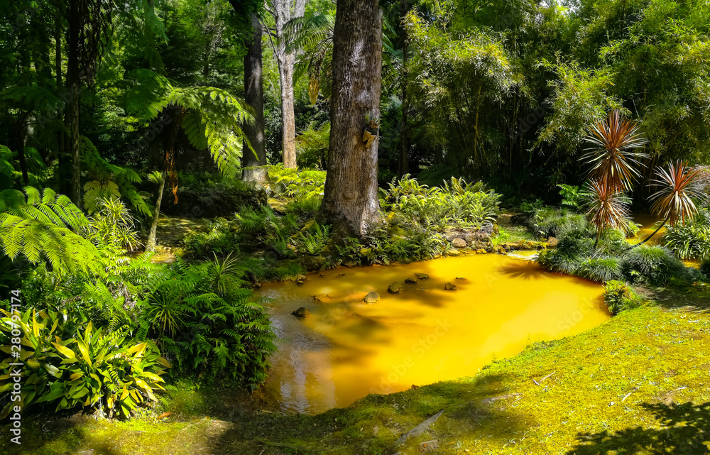 Terra Nostra Park in the Azores is a large botanical garden with a huge ...