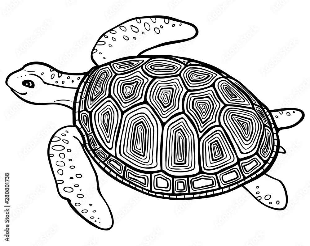 Coloring page turtle with decor Stock Vector | Adobe Stock