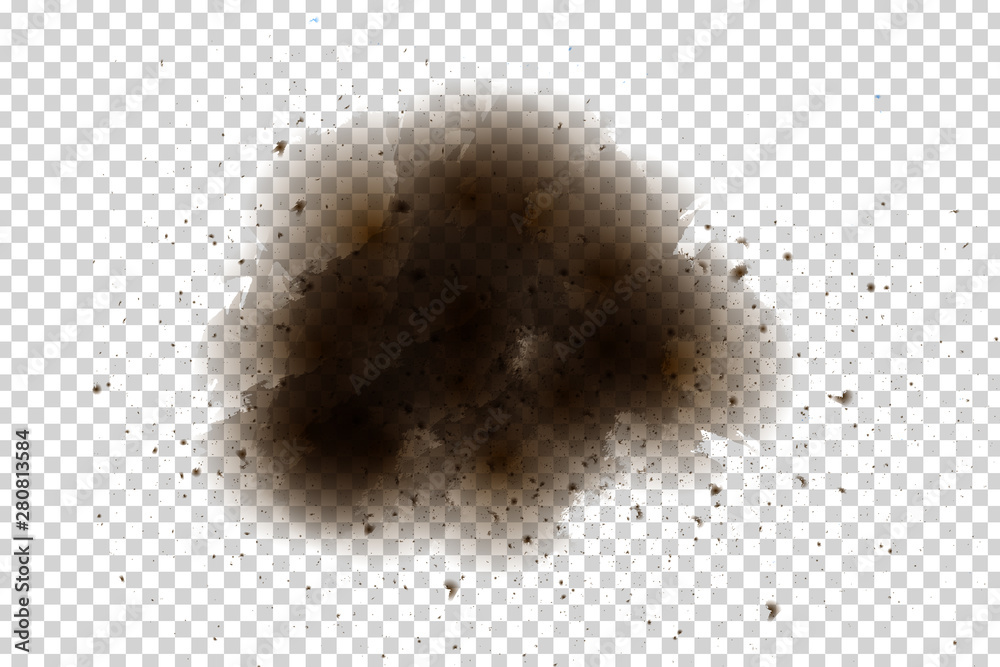 Vector realistic isolated stain of dirt for template decoration on the ...