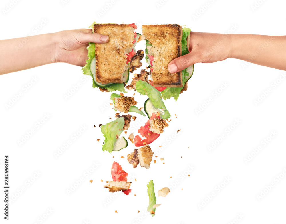 Hands of people of different nationalities tearing a sandwich from ...