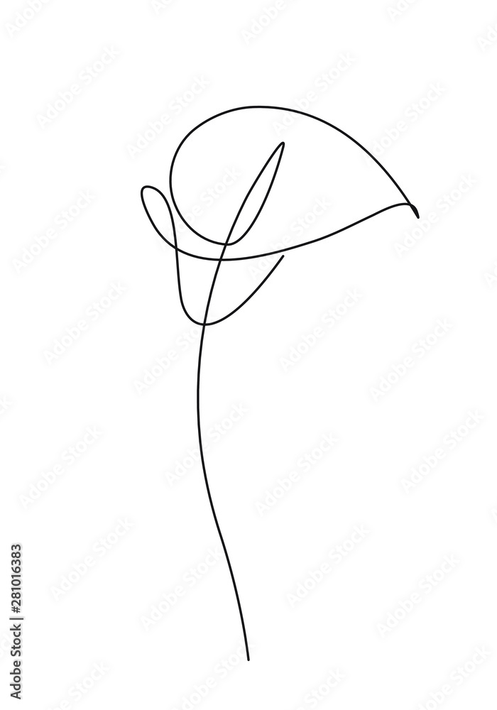 Vetor de Calla lily flower. Line continuous. Abstract minimal botanic ...