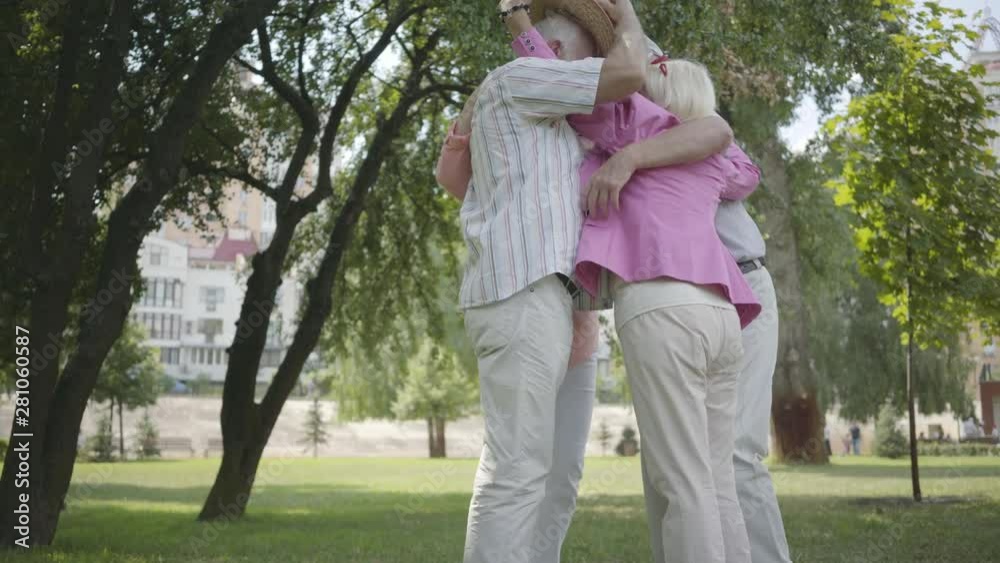 Two cute mature couples hugging and spinning around in the park ...