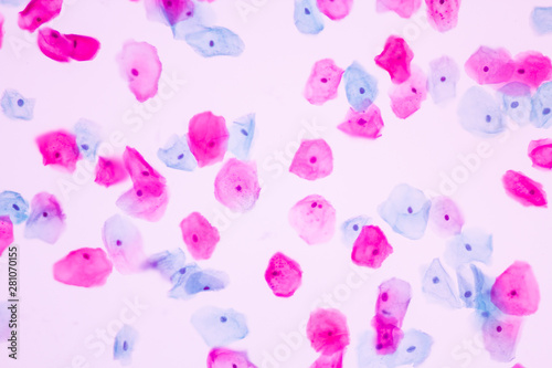 View In Microscopic Of Human Skin Cells Squamous Epithelium Cells