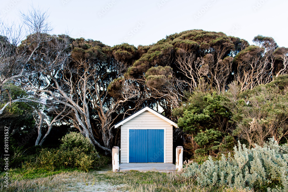 Coastal beach hut nestled into tea trees Stock Photo | Adobe Stock