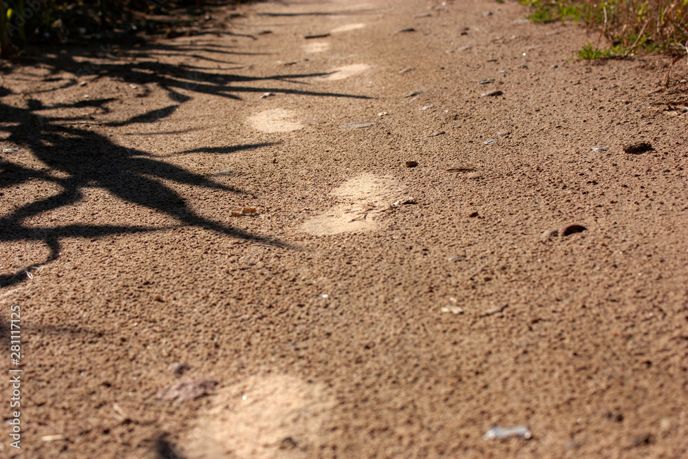 Footprints in the sand of the road after rain and the shadow of the ...