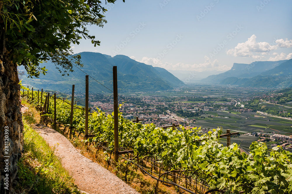 Dorf Tirol, Meran, Herrschaftsweg, Tiroler Kreuz, Wanderweg, Weinberge ...