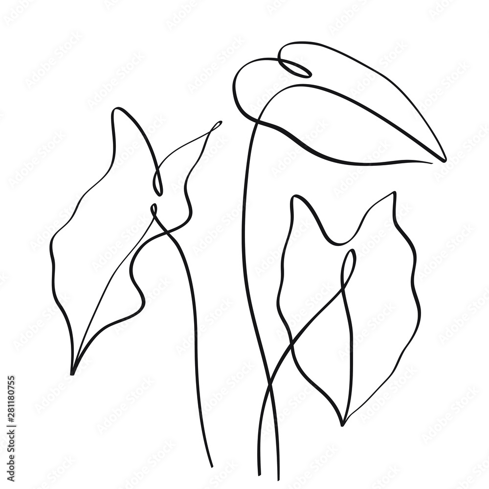 leaves of Nephthytis or Green Caladium (Syngonium Podophyllum) are ...