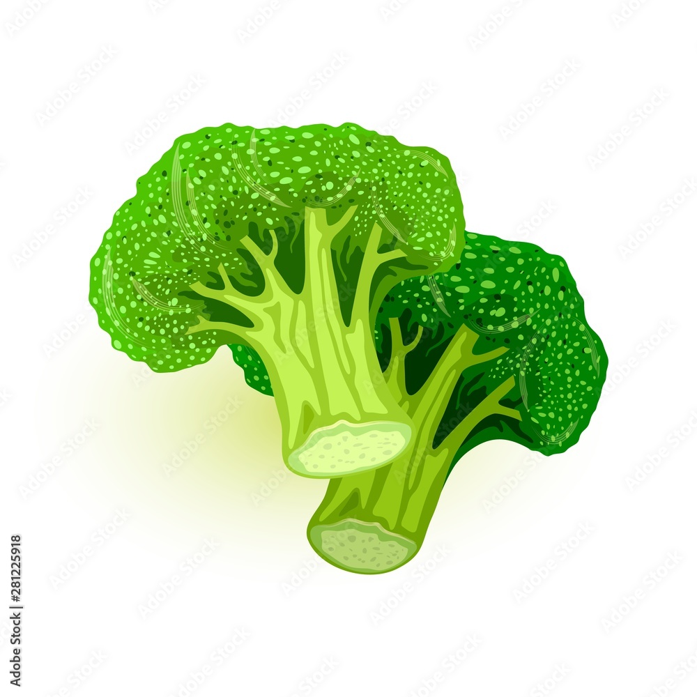 Fresh broccoli. Calabrese vegetable. Branching cabbage. Edible green ...