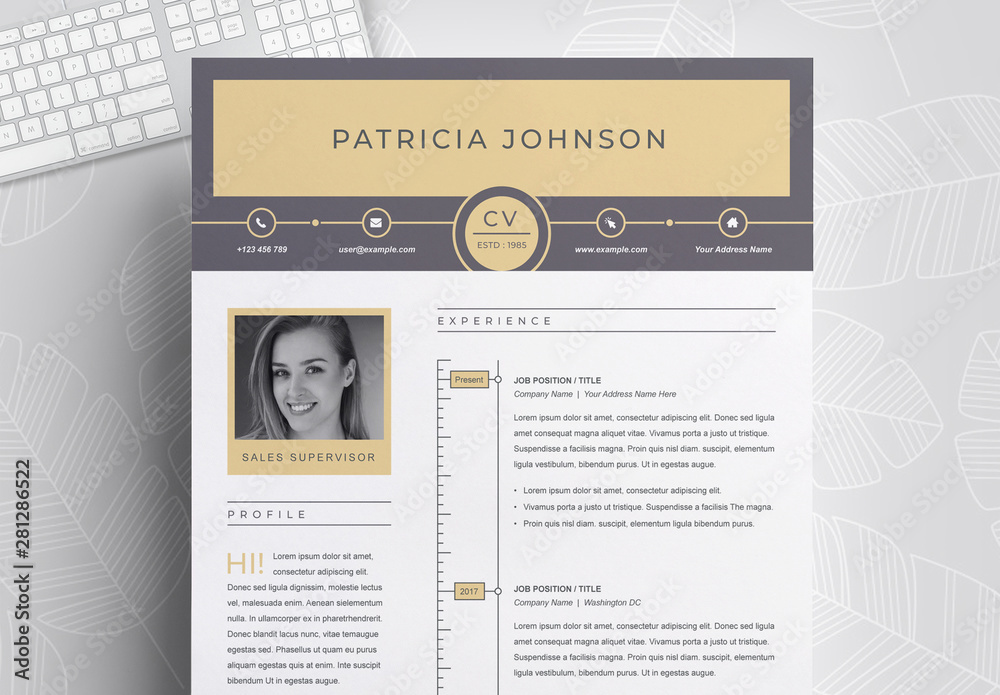 Gray and Gold Resume Layout with Photo Stock Template | Adobe Stock