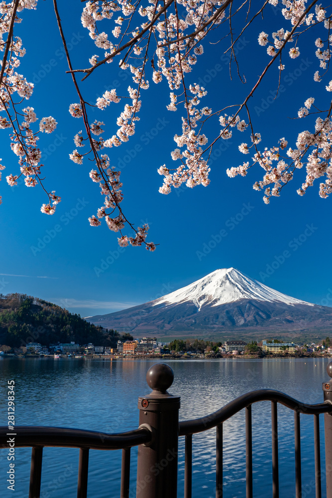 Mt. Fuji in the spring time with cherry blossoms at kawaguchiko ...