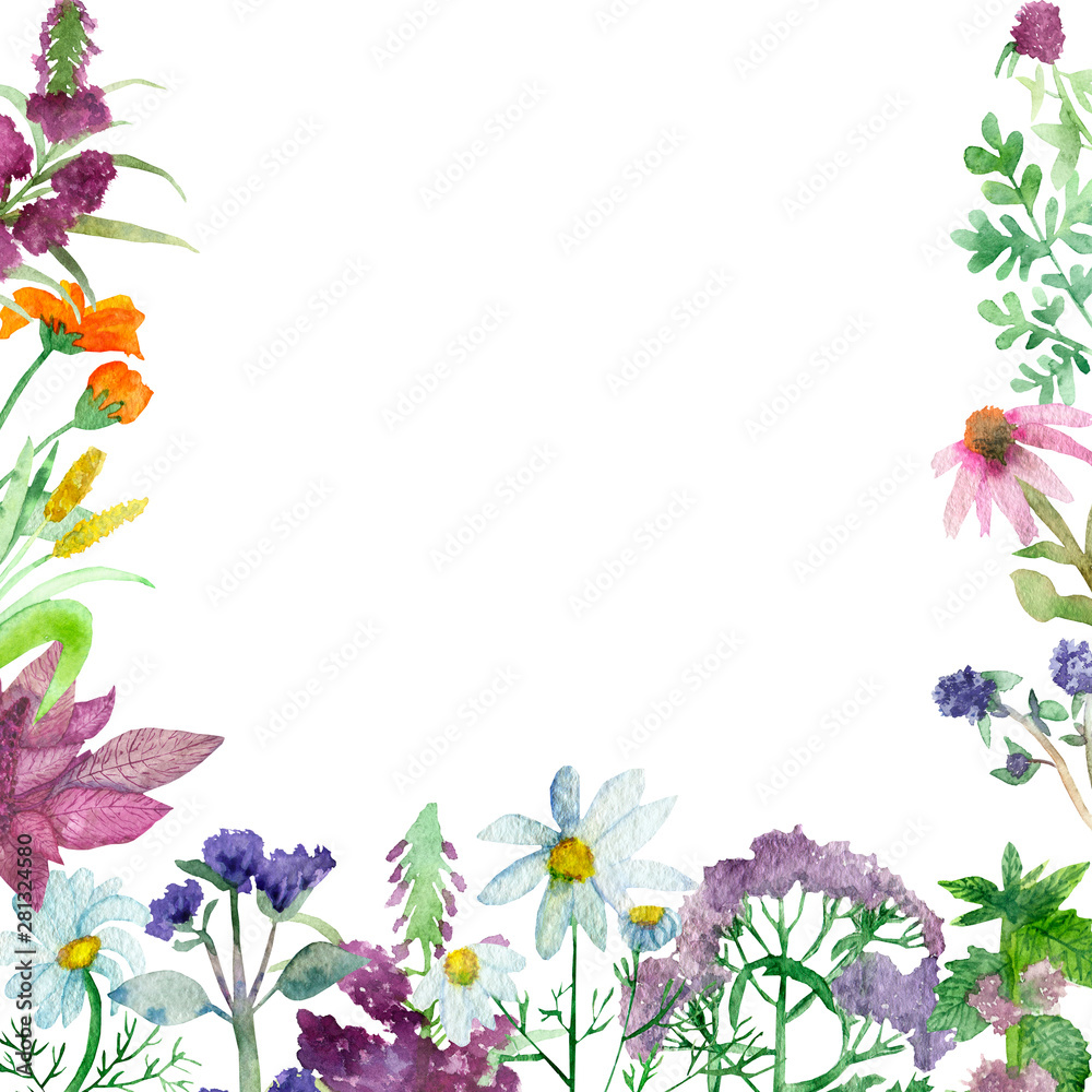 Herb Border