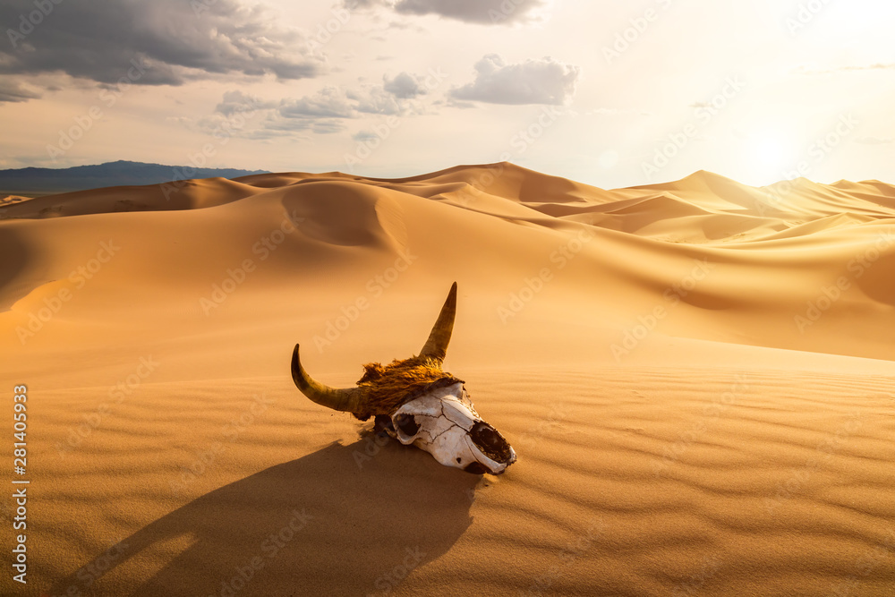 Skull bull in the sand desert at sunset. The concept of death and end ...