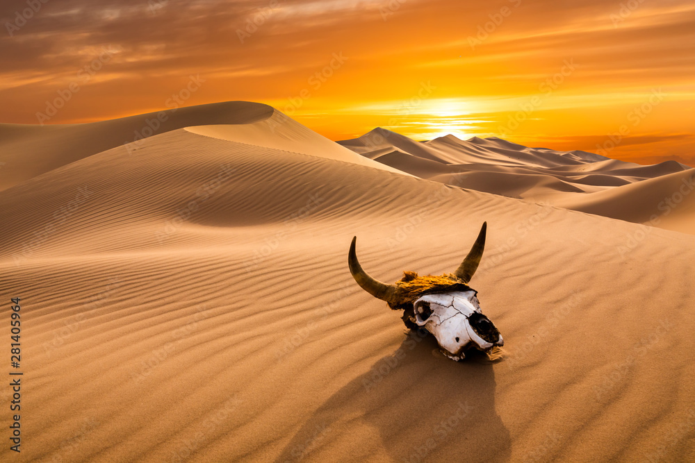 Skull bull in the sand desert at sunset. The concept of death and end ...