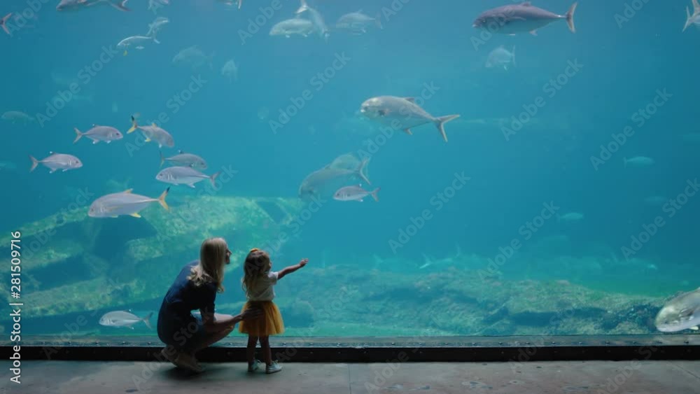mother with daughter at aquarium looking at beautiful fish swimming in ...
