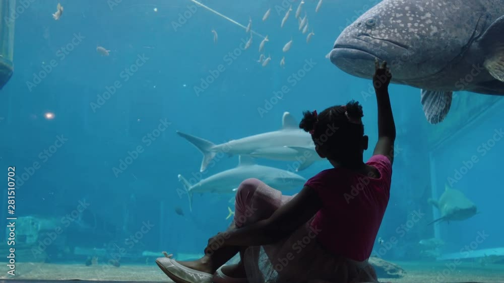 african american girl at aquarium watching fish swimming in tank ...