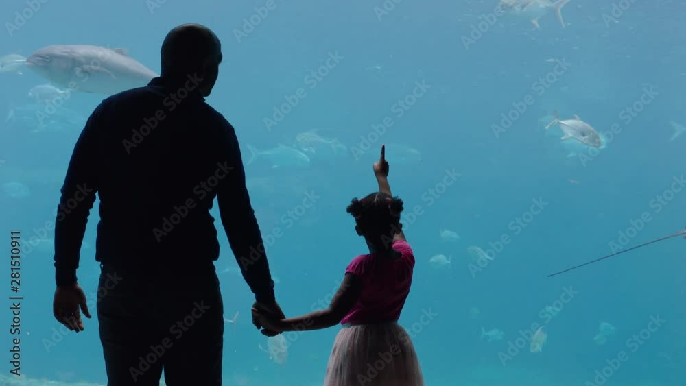 father with little girl at aquarium looking at fish tank teaching ...