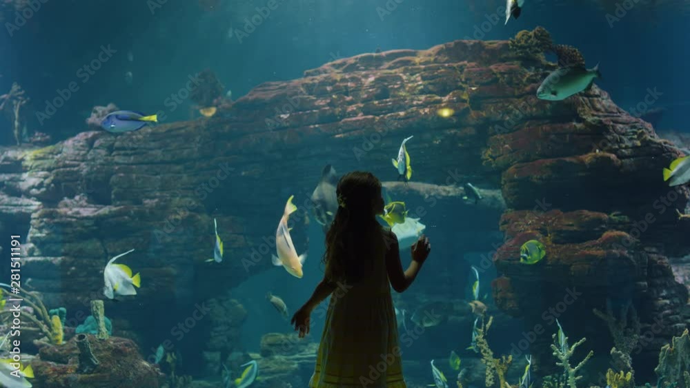 young girl at aquarium watching fish swimming in tank excited child ...