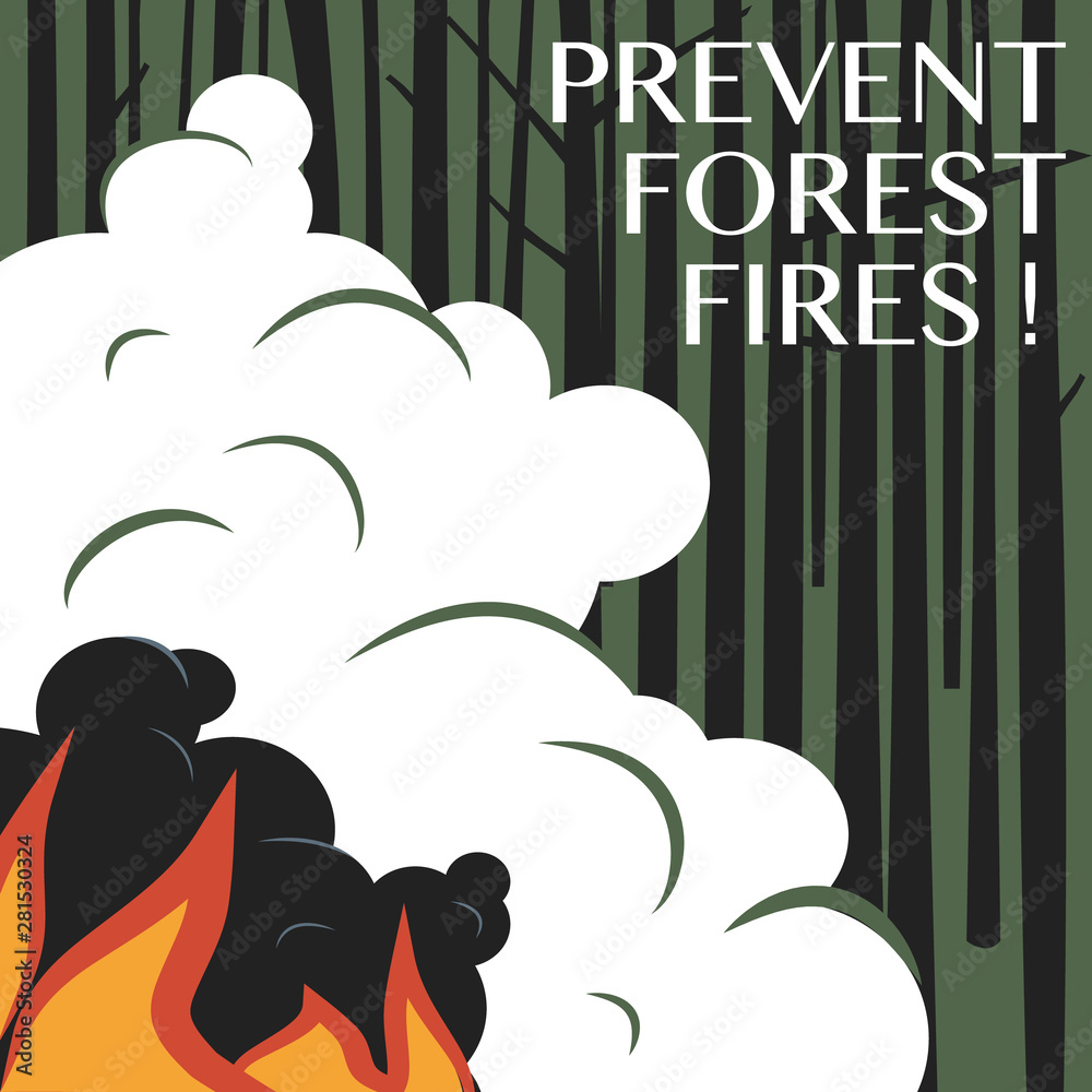 How To Prevent Forest Fires