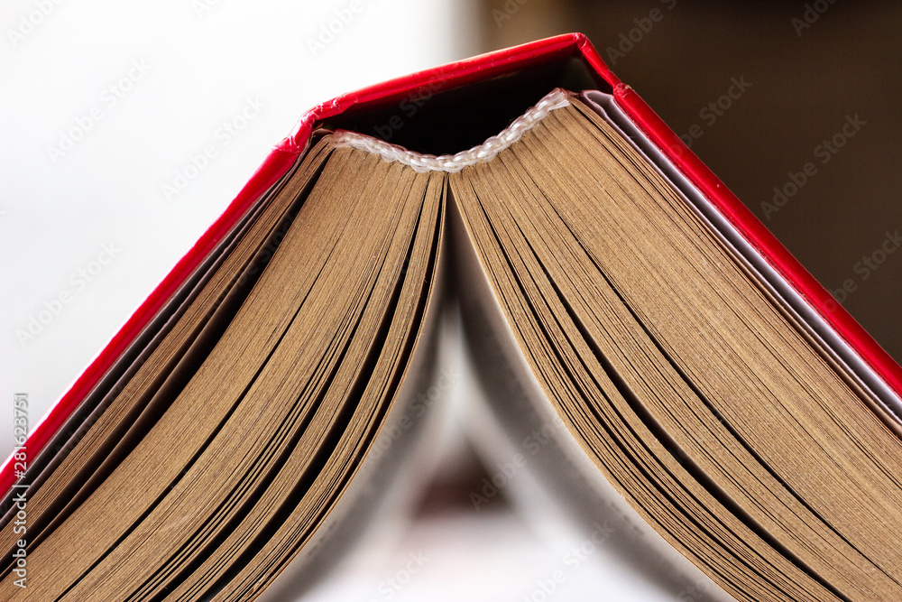 Open book isolated on white and letters. Open book. Open book upside ...