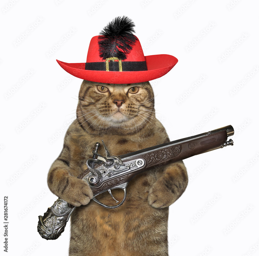 Cat With Machine Gun