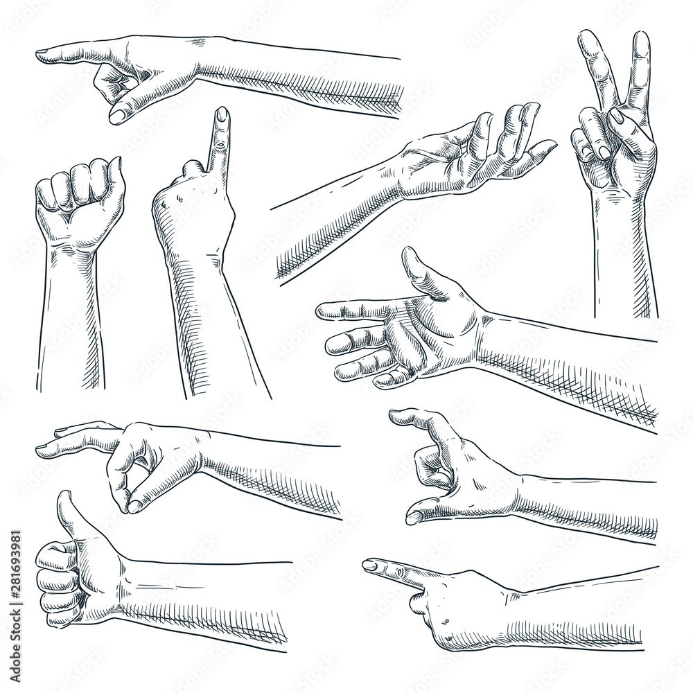 Human hand gesture. Vector sketch hand drawn illustration. Male or ...