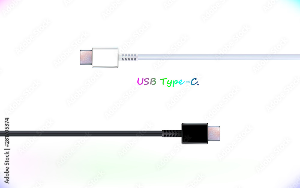 Set USB type-C realistic black and white cable Plug Vector. Universal ...