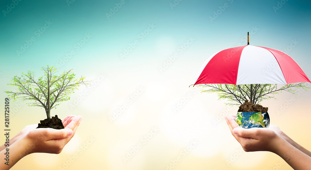 World environment day concept: Human hands holding big tree over green ...
