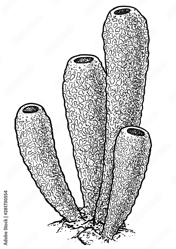 Coral pipe sponge, illustration, drawing, engraving, ink, line art ...
