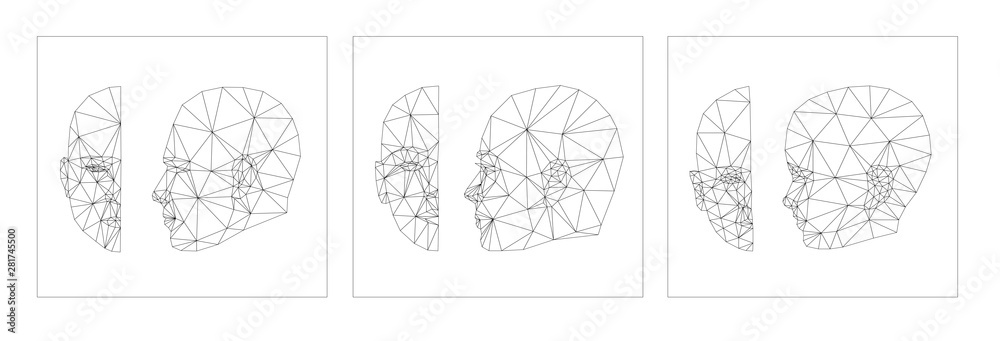 Face Recognition Biometric Scanning System Concept Abstract Low Polygon ...