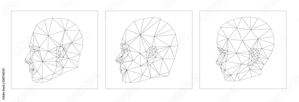 Face Recognition Biometric Scanning System Concept Abstract Low Polygon ...