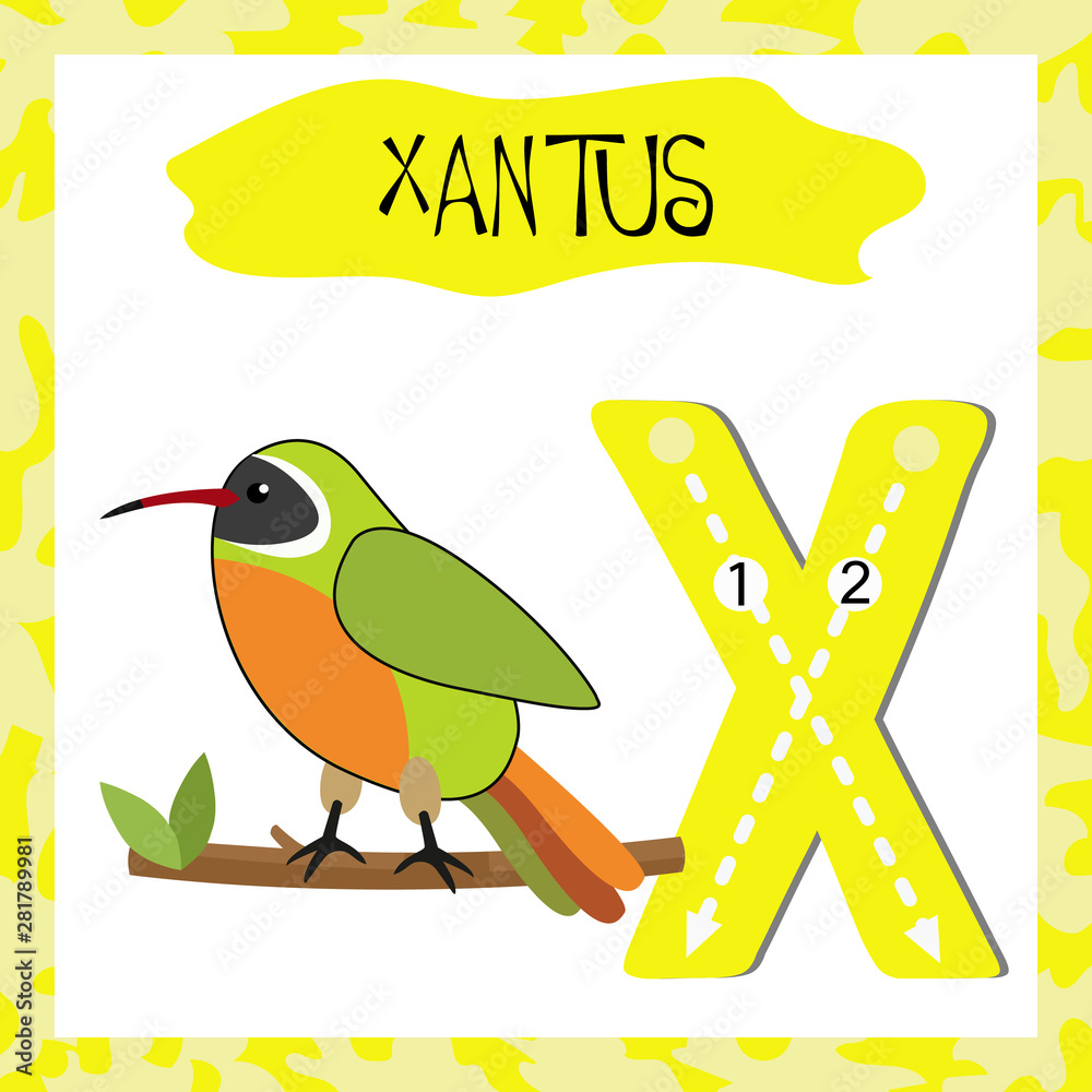Letter X uppercase cute children colorful zoo and animals ABC alphabet ...