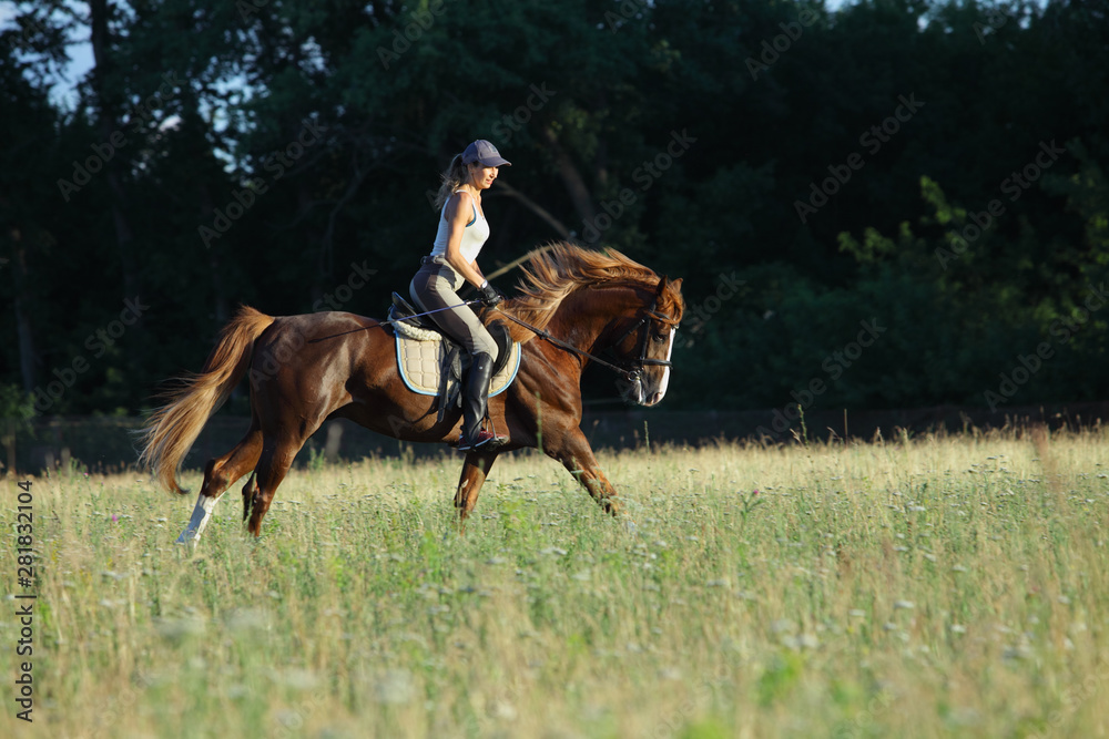 Beautiful equestrian sportive woman horseback ride her horse in woods ...