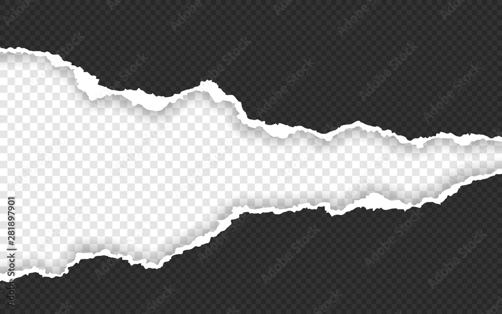 Torn paper edge. Ripped squared paper strips. Vector illustration Stock ...