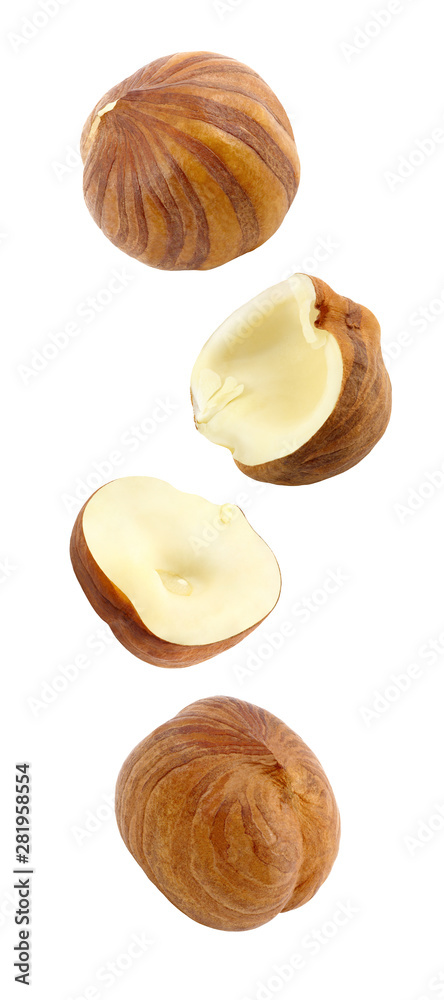 Hazelnut nuts kernels cores whole and broken in half soaring, falling ...