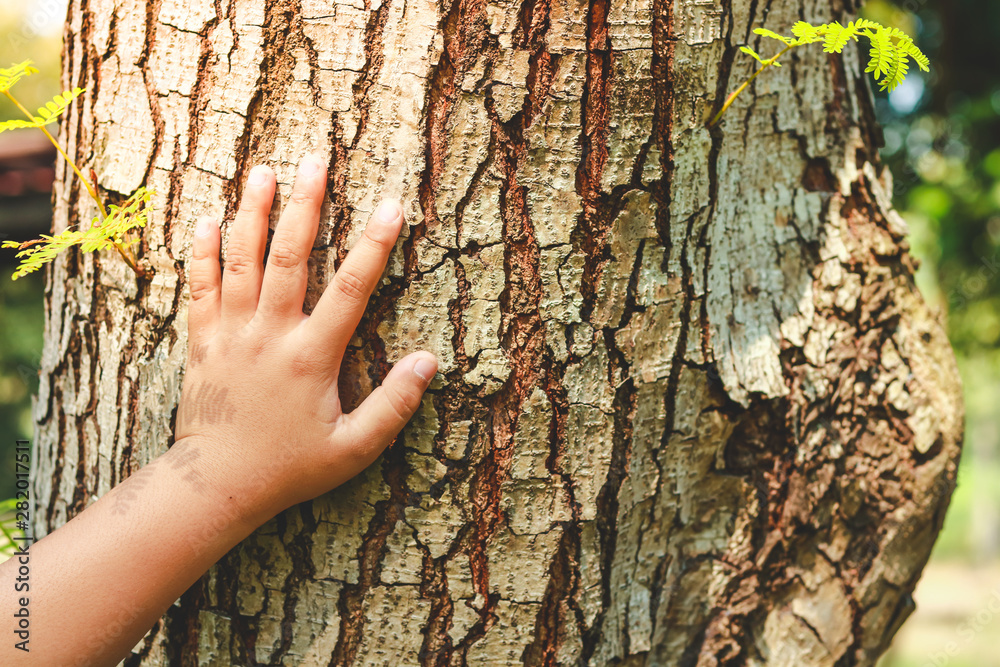 Boy hands touch the big tree. Have love for nature Stock Photo | Adobe ...