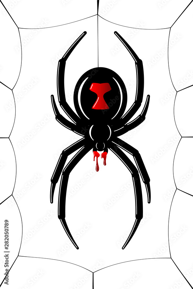 Spider Black Widow, cobweb. Red black spider 3D, spiderweb, isolated ...