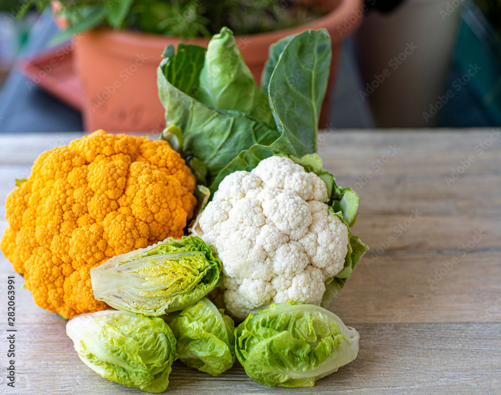 On the table of natural wood are four kinds of cabbage. Stock Photo ...