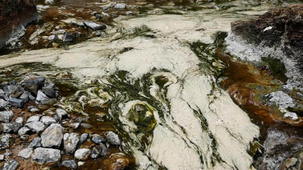 Chloroflexus aurantiacus bacteria in hot spring, Chaeson National Park ...