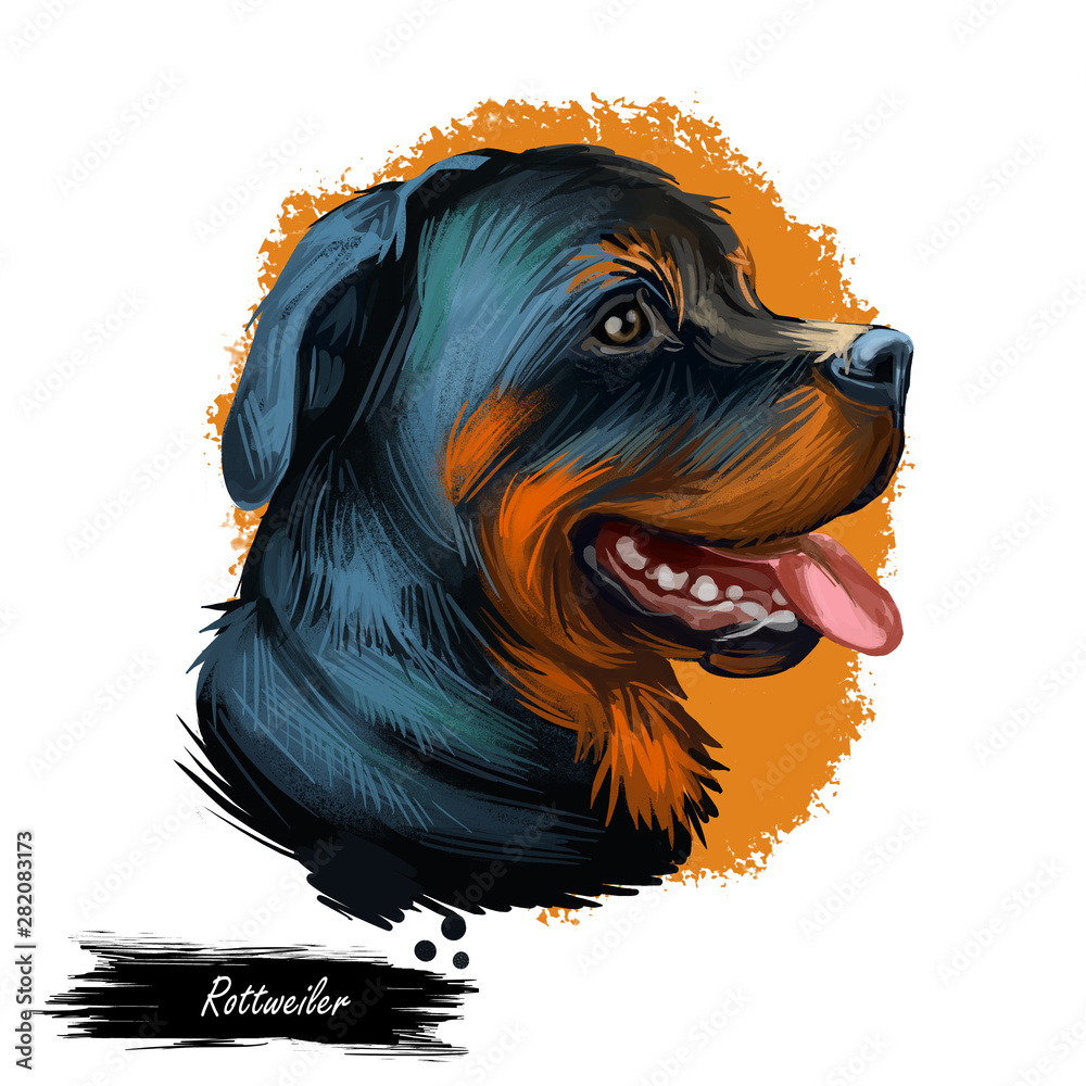 Rottweiler dog portrait isolated on white. Digital art illustration ...