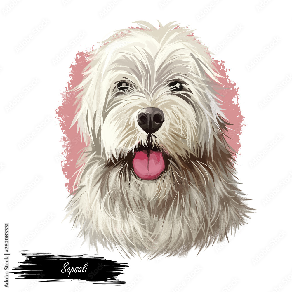 Sapsali dog portrait isolated on white. Digital art illustration of ...